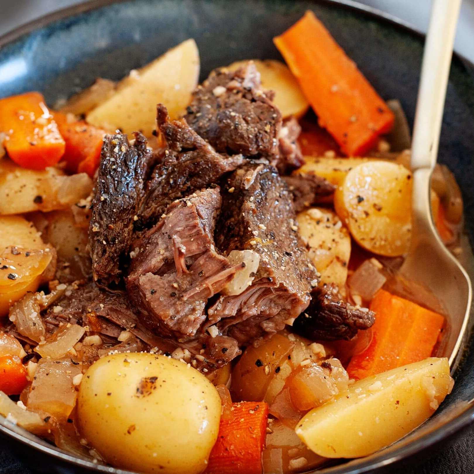 Classic Pot Roast - Ninja Test Kitchen