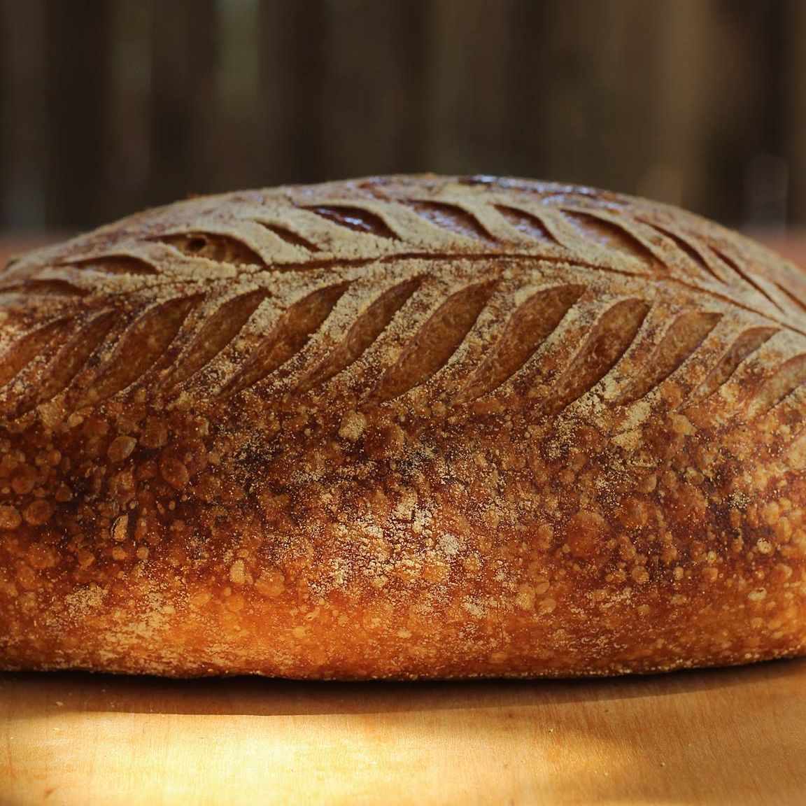 Country Sourdough - Ninja Test Kitchen