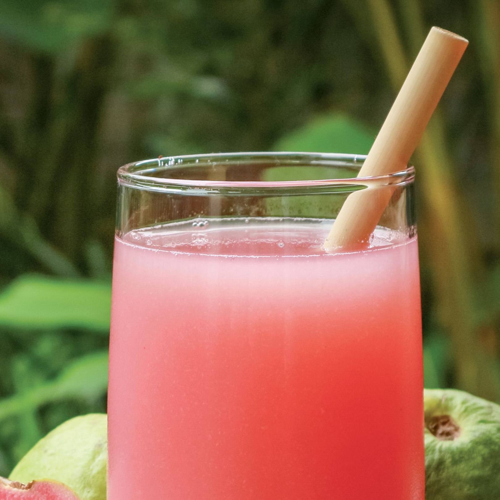 Guava Frozen Treat - Ninja Test Kitchen