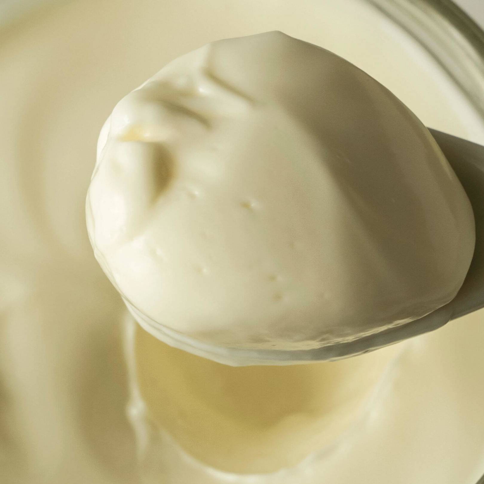 Homemade Mayo - Ninja Test Kitchen