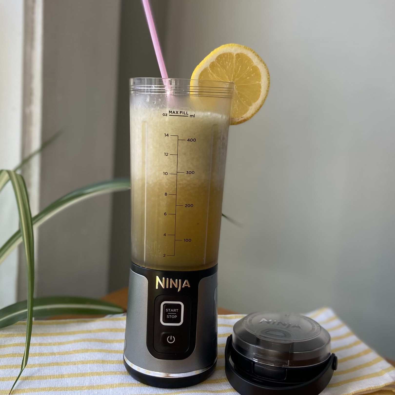 Lem-osa - Ninja Test Kitchen