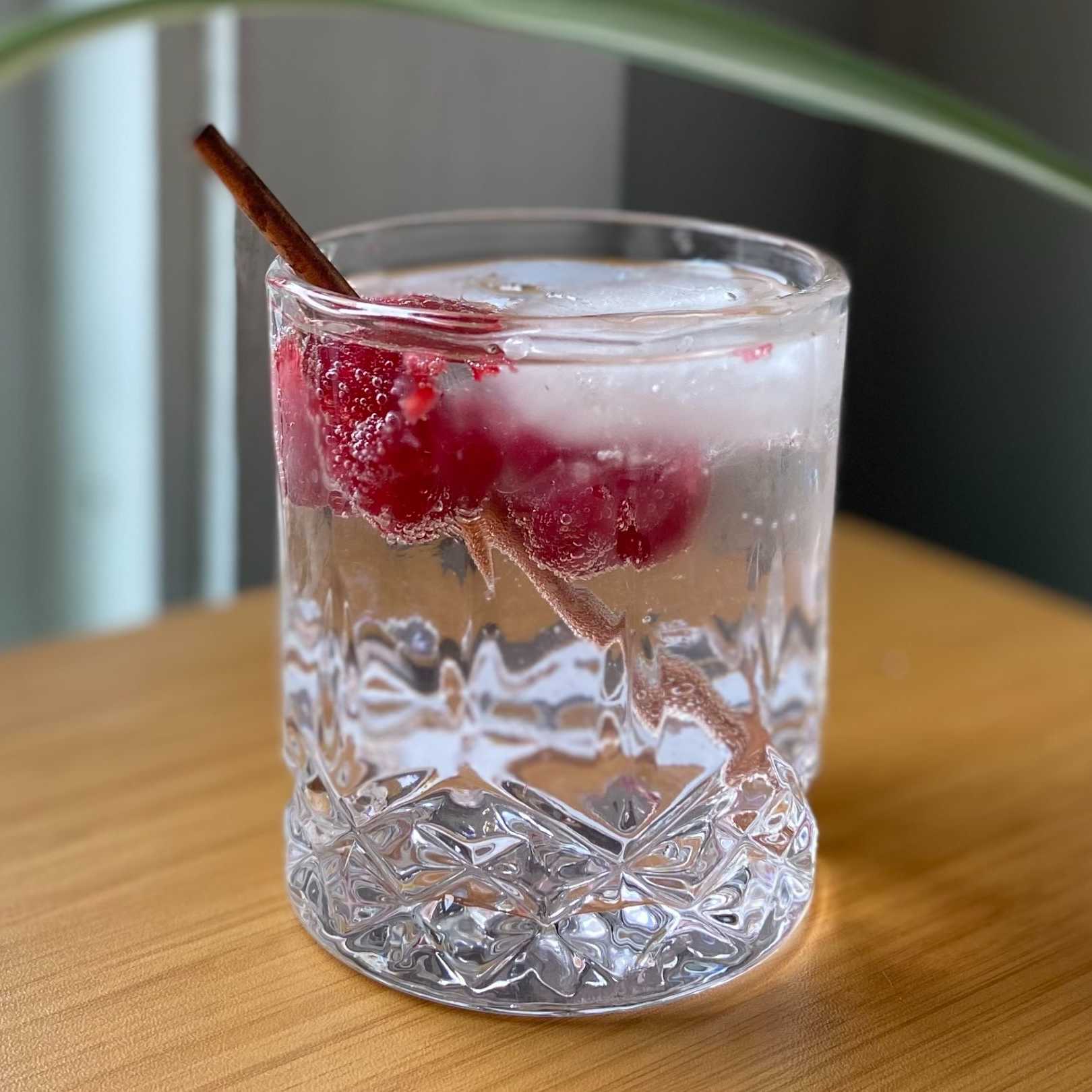 Raspberry Gin & Tonic - Ninja Test Kitchen