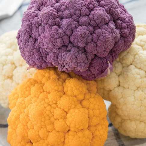 Roasted Rainbow Cauliflower - Ninja Test Kitchen