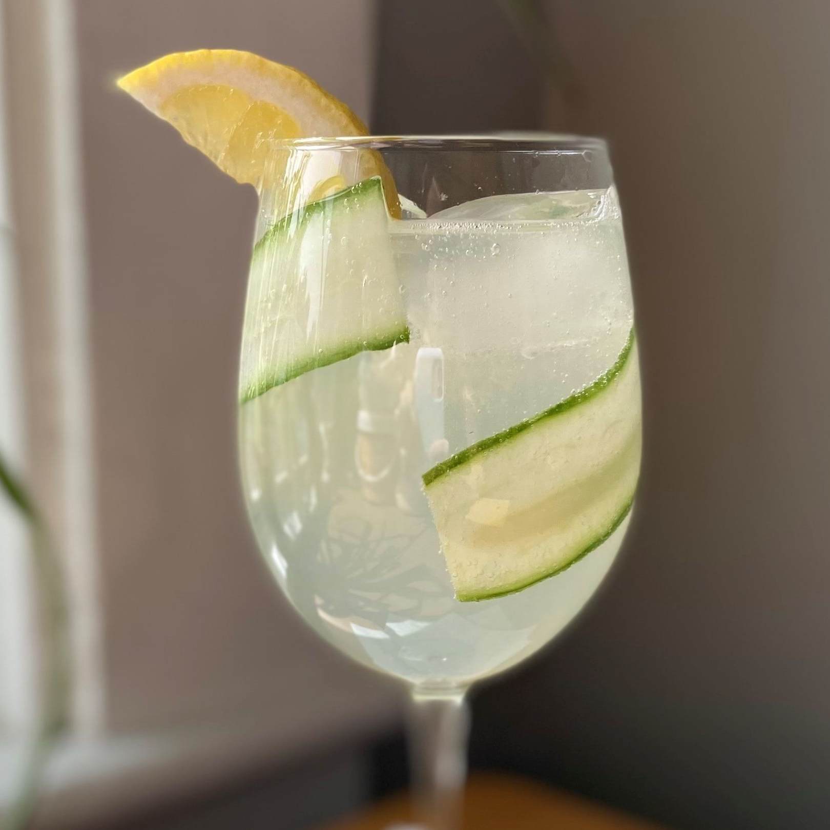 Tom Collins - Ninja Test Kitchen