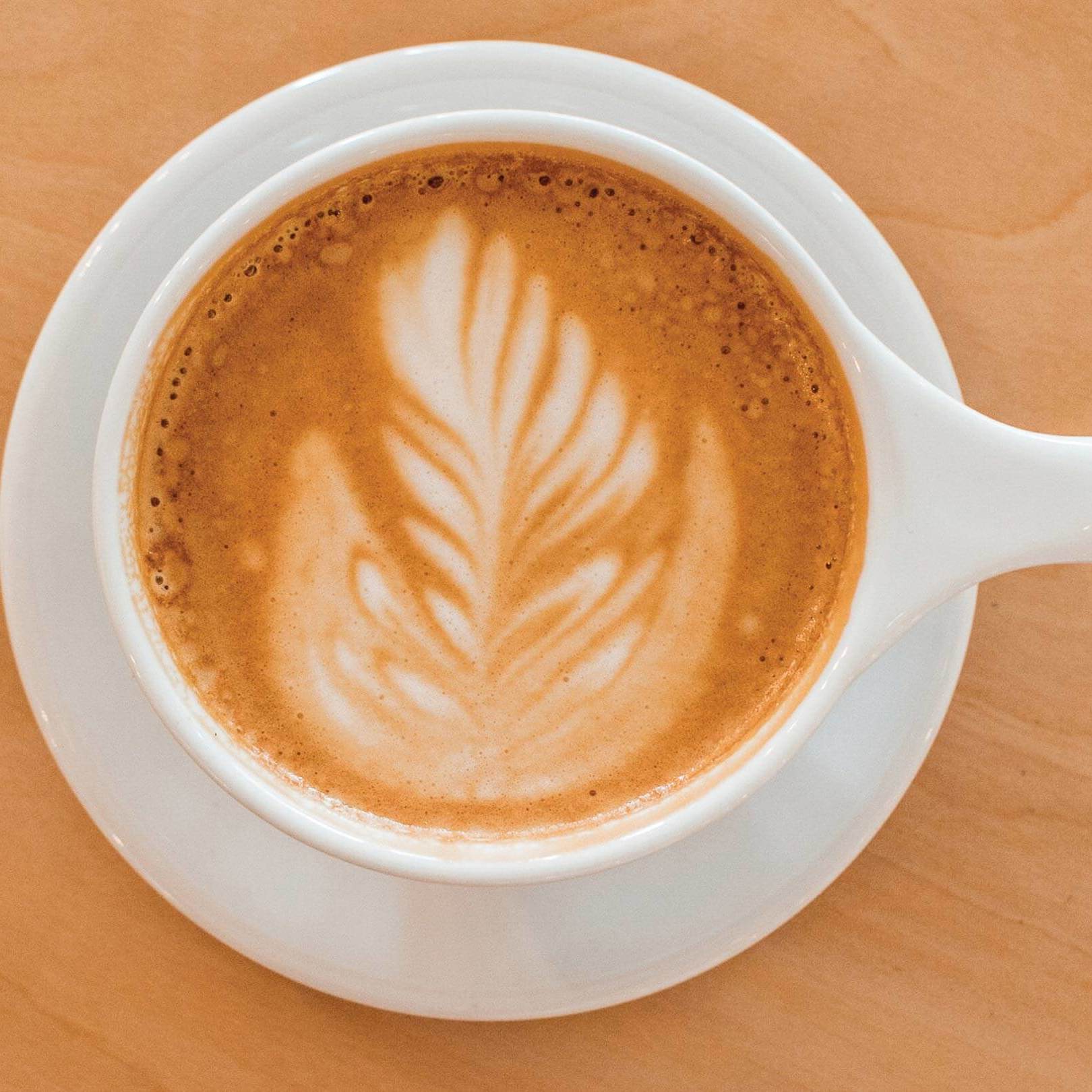 Vanilla Cappuccino - Ninja Test Kitchen